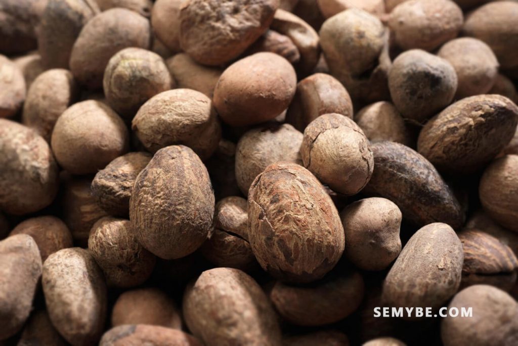 Vitellaria (Butyrospermum Parkii) - The beauty of Nature